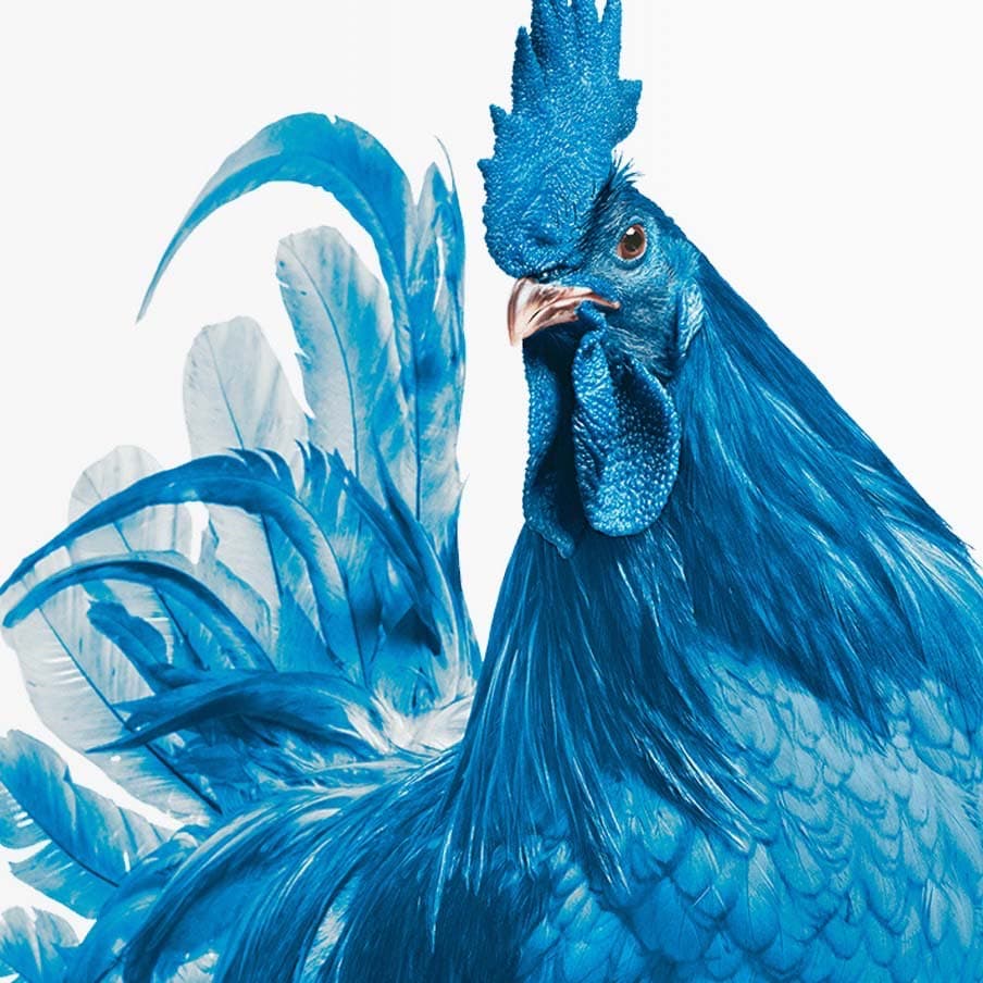 Work | Partners + Napier